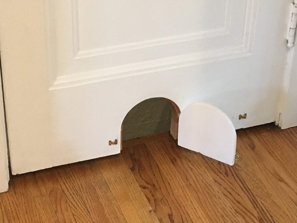 Creative Cat Door Solution for your Home | Arch City Homes